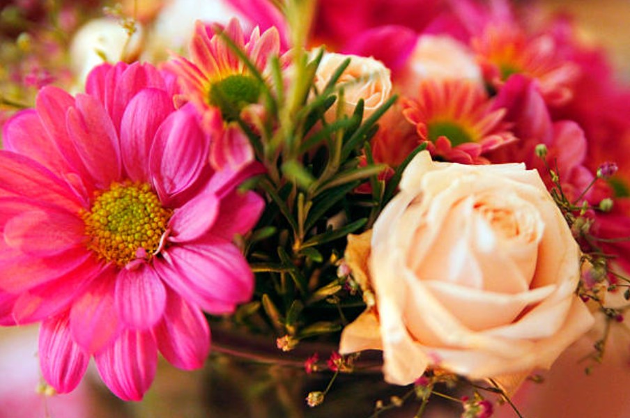 Seasonal Flowers by Month in Australia: A Complete Year-Round Guide