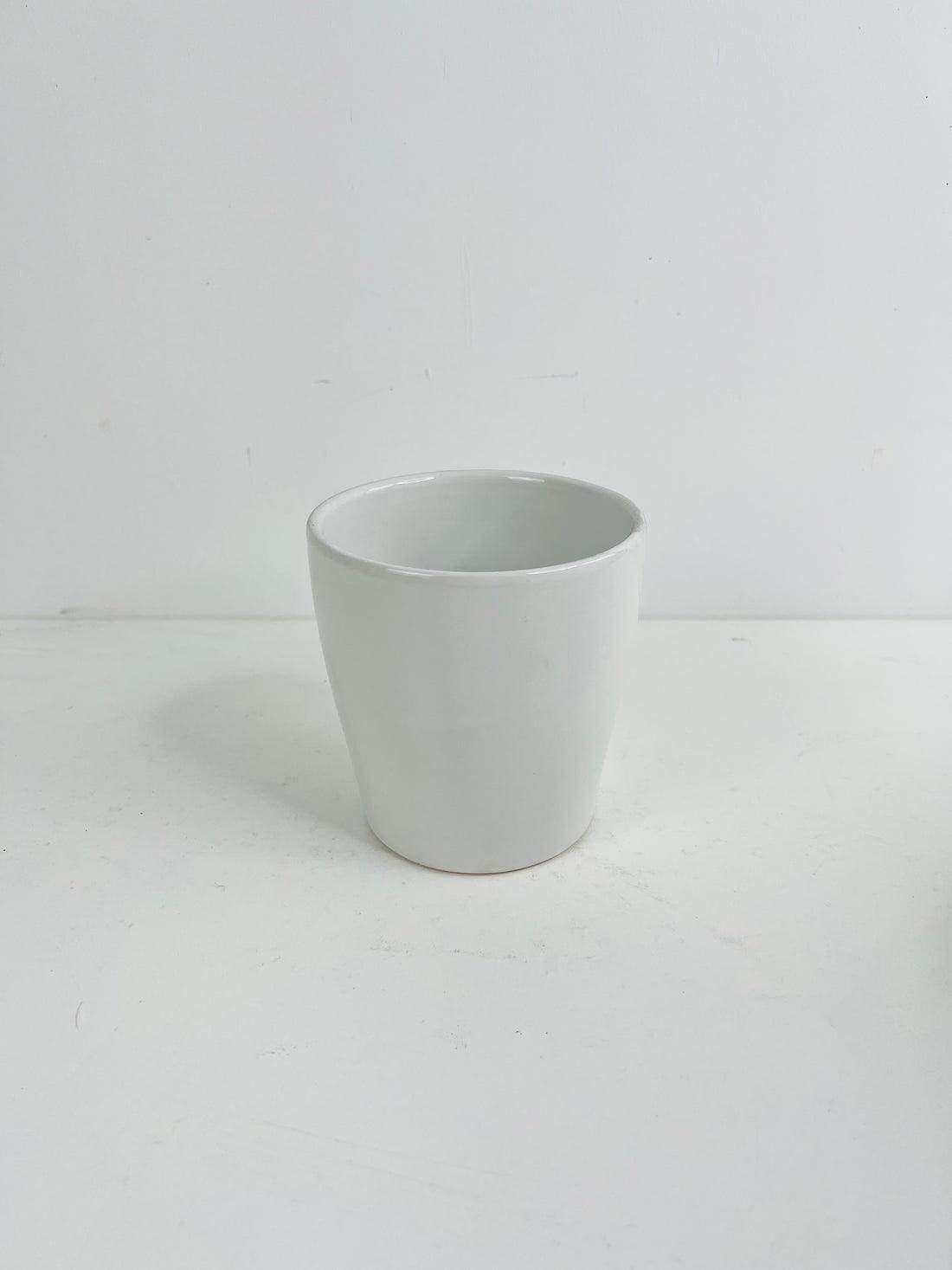Plants white ceramic pots